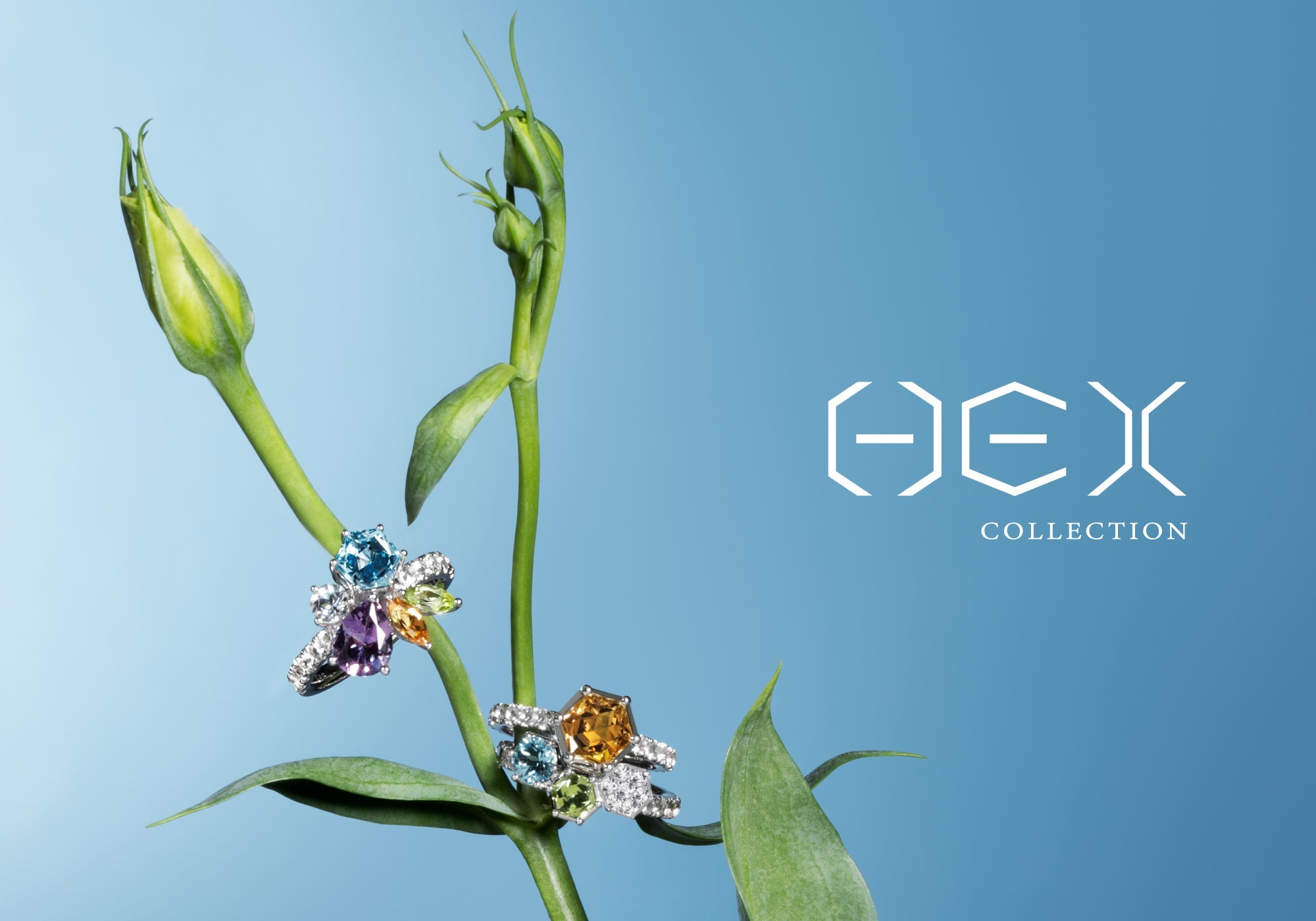 HEX Collection | ARTE Madrid